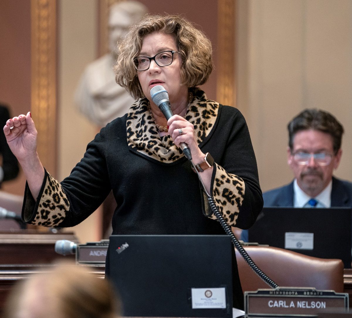 Contribute – Carla Nelson for State Senate